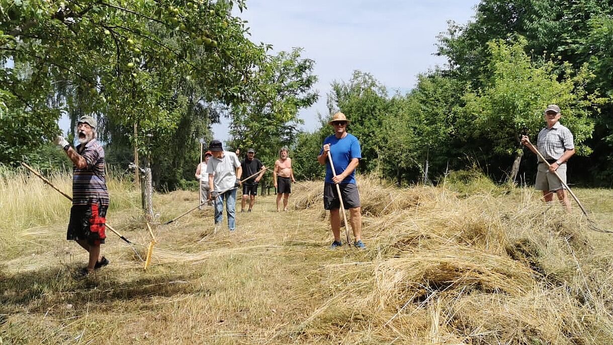Heuernte wie früher! - BUND Naturschutz in Bayern e.V.